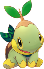 Tortipouss/Imagerie — Poképédia