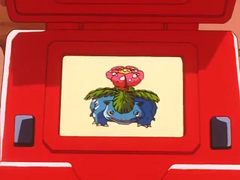 Florizarre — Poképédia