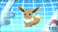 Évoli — Poképédia