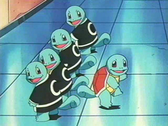 Carapuce de Sacha — Poképédia