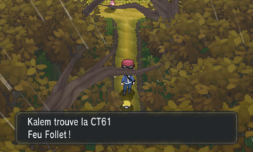 Route 14 (Kalos) — Poképédia