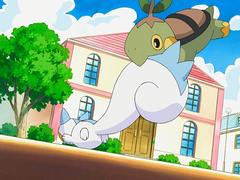 Tortipouss de Flo — Poképédia