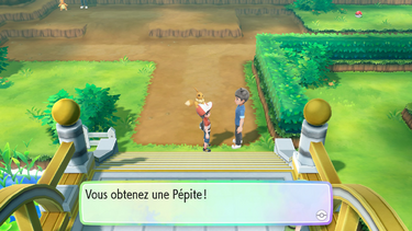 Route 24 (Kanto) — Poképédia