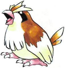 Roucool/Imagerie — Poképédia