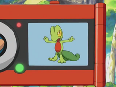 Arcko — Poképédia