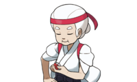 Expert — Poképédia