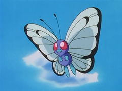 EP021 — Poképédia