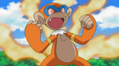 Brasier — Poképédia