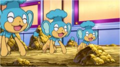 Flotajou de Noa — Poképédia