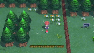 Route 203 — Poképédia