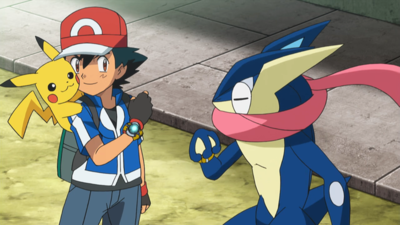 Amphinobi de Sacha — Poképédia