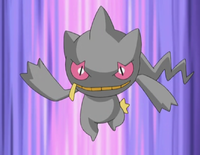 Branette — Poképédia