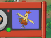 Galifeu — Poképédia