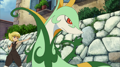 Mako — Poképédia