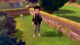 Route 2 (Galar) — Poképédia