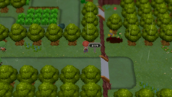 Route 215 — Poképédia