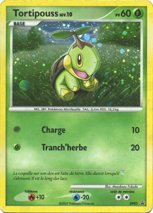 Tortipouss (Promo DP 01) — Poképédia