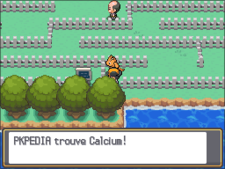 Route 13 (Kanto) — Poképédia