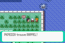 Route 110 — Poképédia