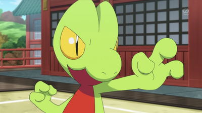 Arcko — Poképédia