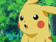 DP080 — Poképédia