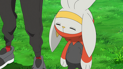 LV029 — Poképédia