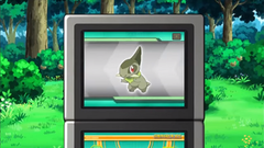 Coupenotte — Poképédia