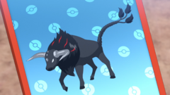 Tauros de Paldea — Poképédia