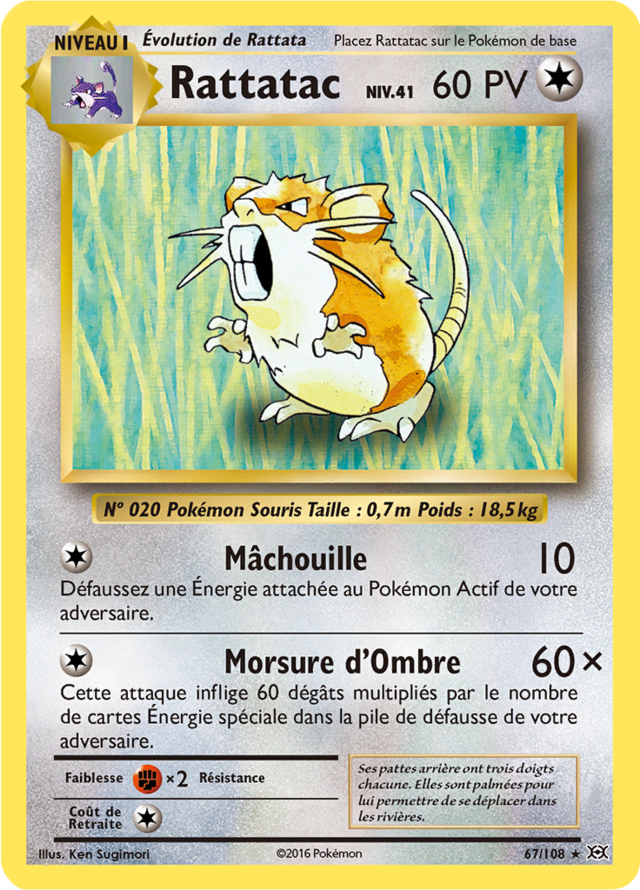 Rattatac (XY Évolutions 67) — Poképédia