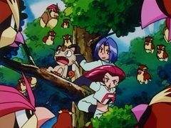 EP081 — Poképédia