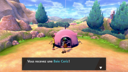 Route 3 (Galar) — Poképédia