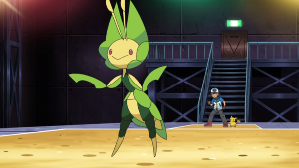 Manternel de Sacha — Poképédia