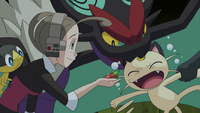 NB137 — Poképédia