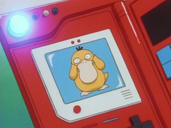 Psykokwak — Poképédia