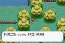 Bois Baies — Poképédia