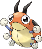 Coxy — Poképédia