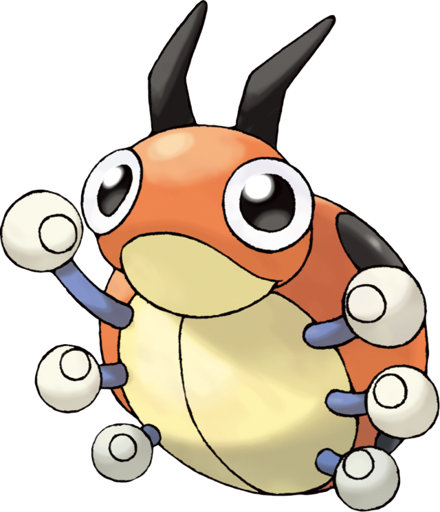 Coxy — Poképédia