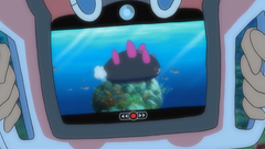 Concombaffe — Poképédia