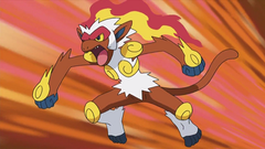 DP178 — Poképédia