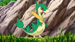 NB031 — Poképédia