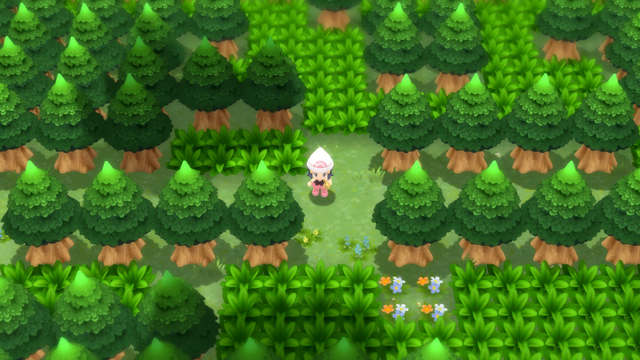 Route 221 — Poképédia