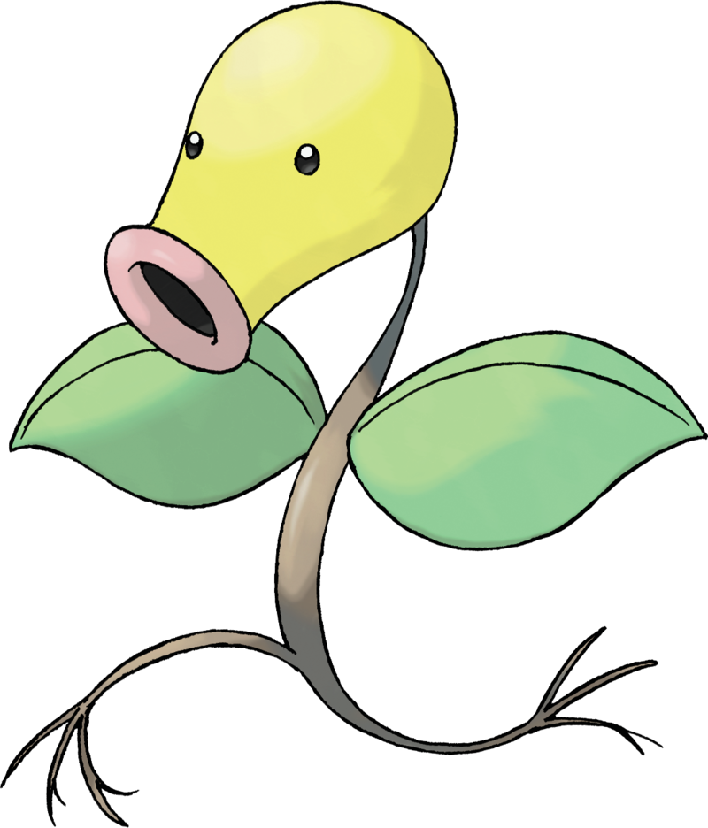 Chétiflor — Poképédia