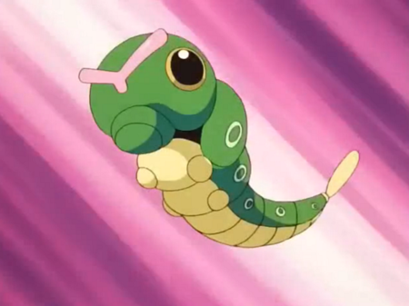 Chenipan — Poképédia