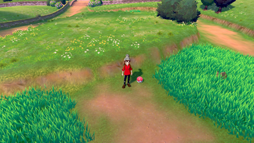 Route 1 (Galar) — Poképédia